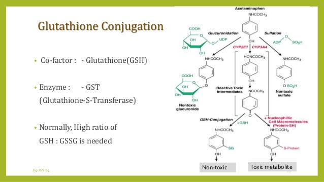 Clinical pharmacokintics part 2 dr jayesh vaghela