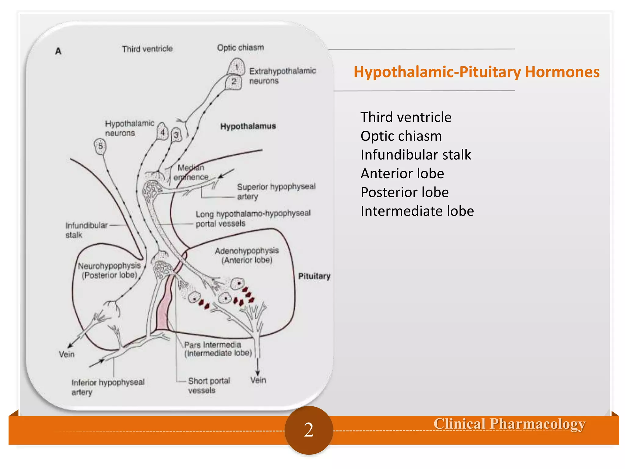 Clinical pharmacology hormonal disorders | PPTX