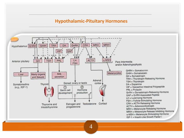 Clinical pharmacology hormonal disorders | PPTX