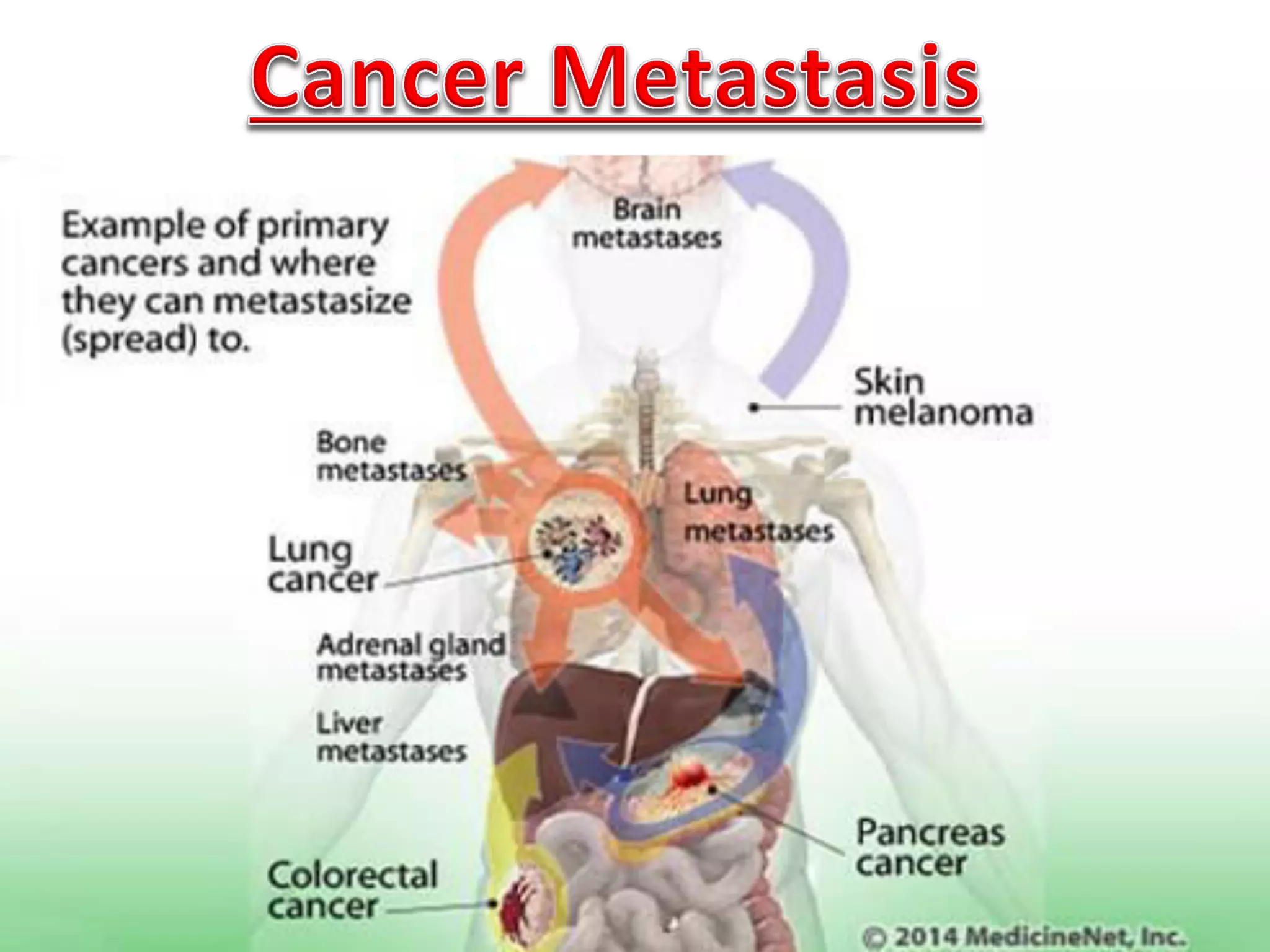 Clinical pharmacology module list of anti cancer drugs | PDF