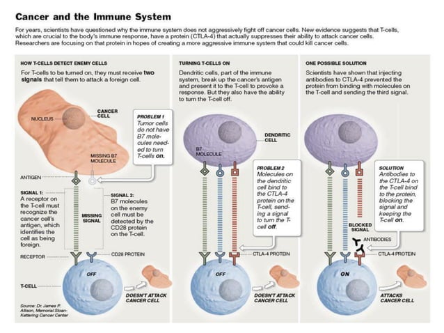 Clinical pharmacology module list of anti cancer drugs | PDF | Cancer ...
