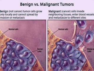 Clinical pharmacology module list of anti cancer drugs | PDF