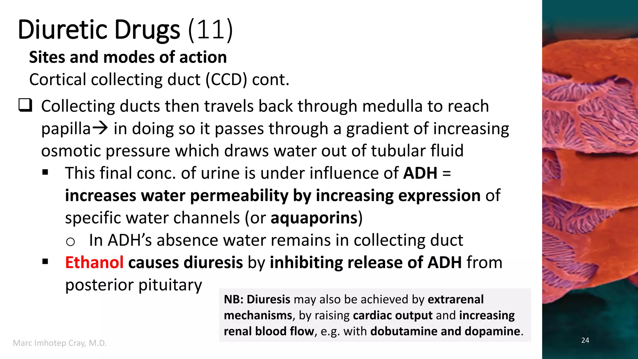 Clinical Pharmacology of Drugs Used to Affect Renal Function | PPTX