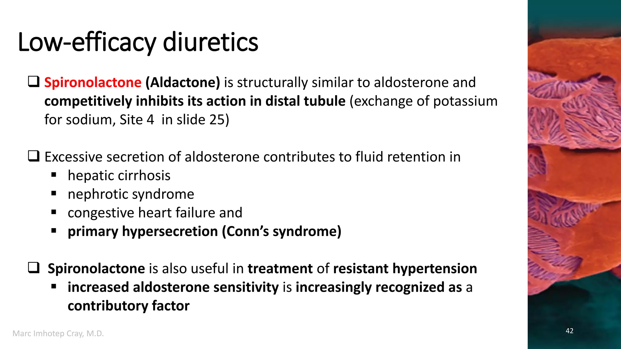 Clinical Pharmacology of Drugs Used to Affect Renal Function | PPTX