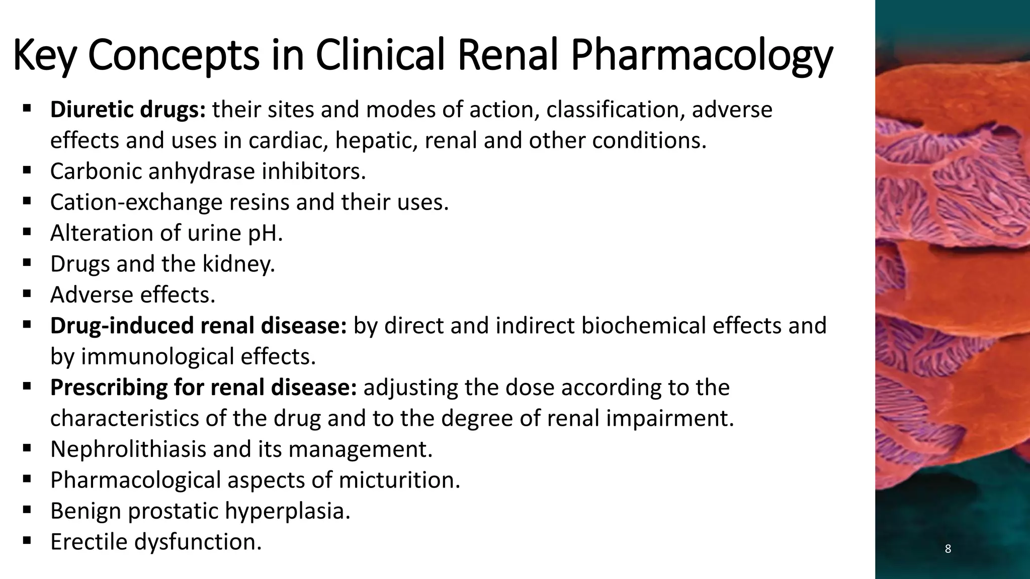Clinical Pharmacology of Drugs Used to Affect Renal Function | PPTX