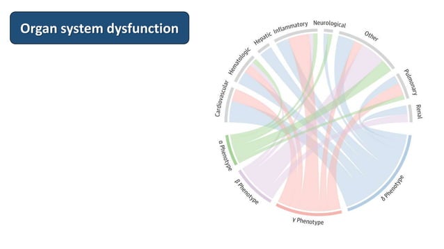 Clinical phentypes of sepsis | PPTX