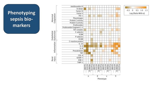 Clinical phentypes of sepsis | PPTX