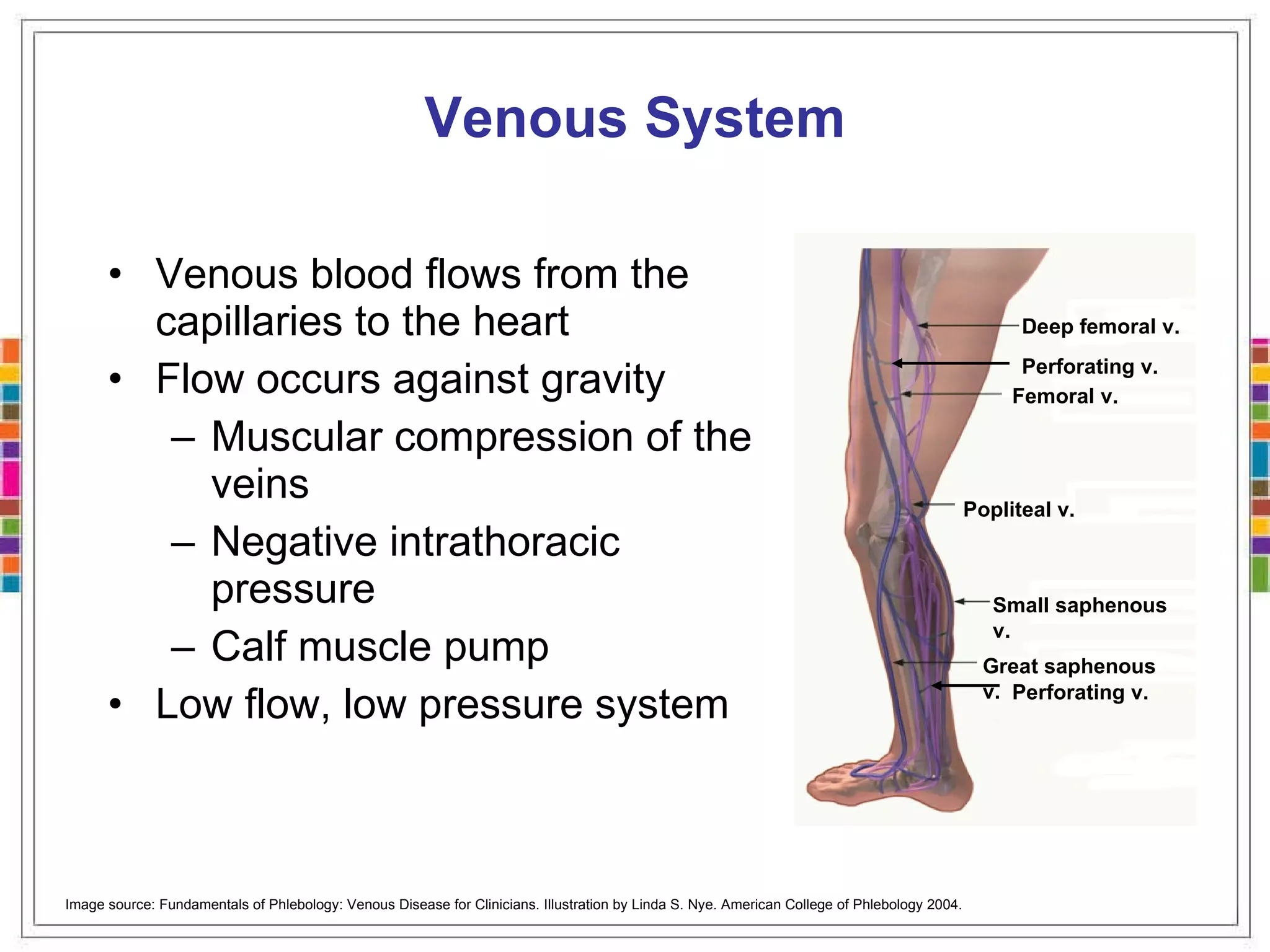 Venous Insufficiency | PPT