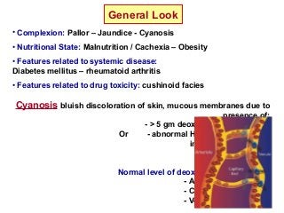 Clinical Diagnosis of Respiratory Diseases | PPT