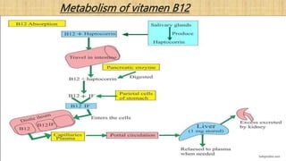 Clinical Presentation Of Megaloblastic Anemia.pptx | Blood Disorders ...
