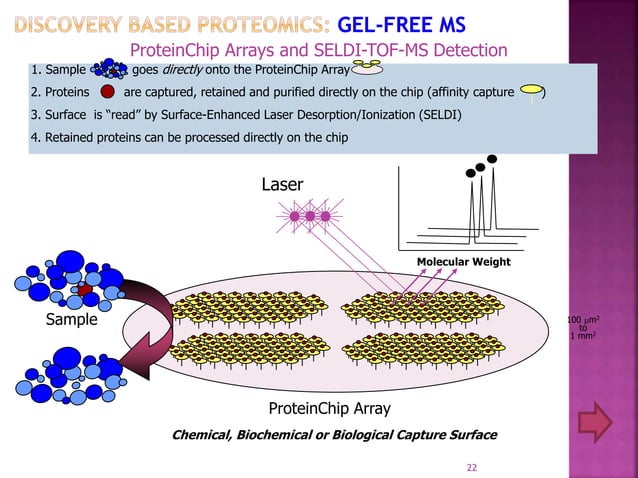 Clinical proteomics in diseases lecture, 2014 | PPTX