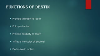 CLINICAL RELEVANCE OF DENTIN POWER POINT PRESENTATION | PPTX