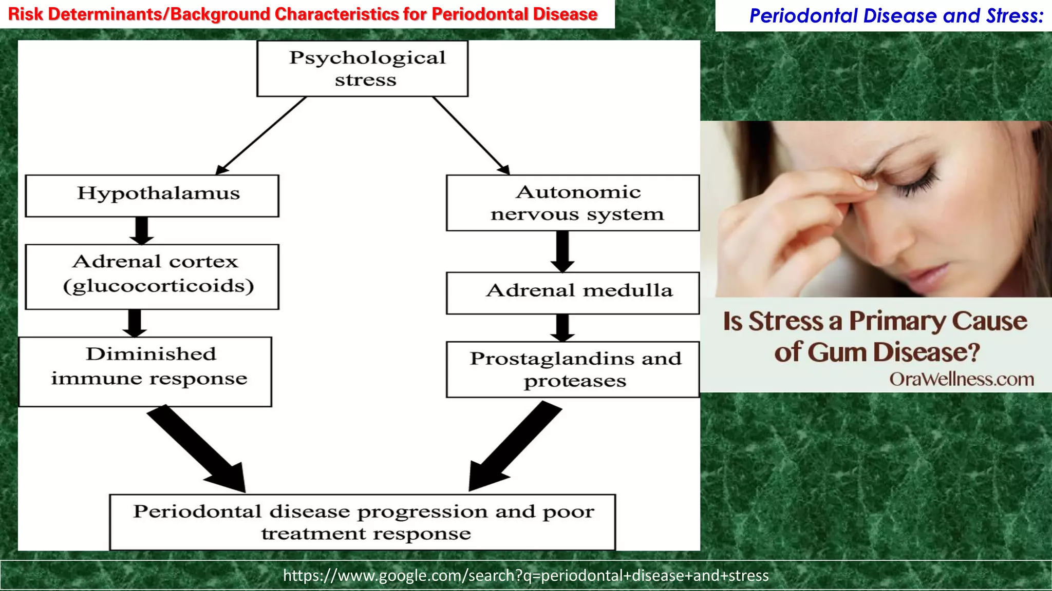 Clinical risk assessment & diagnosis of periodontal disease | PDF