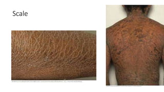 Clinical Science(BMCS211) Presentation.pptx