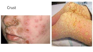 Clinical Science(BMCS211) Presentation.pptx