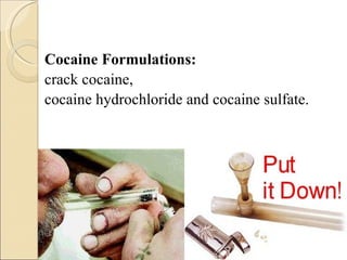 Coccain and Sympathomimatic | PPT