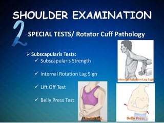 Clinical shoulder examination-osce | PPTX