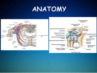 Clinical shoulder examination-osce | PPTX