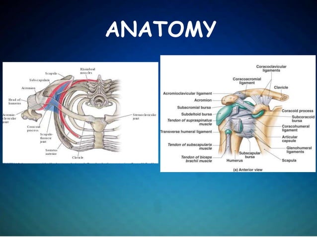 Clinical shoulder examination-osce | PPTX | Death, Injury, or Military ...