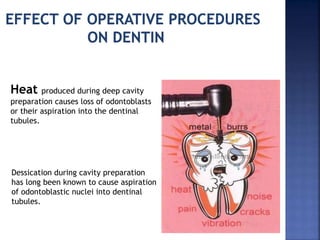 CLINICAL SIGNIFICANCE OF DENTIN.pptx