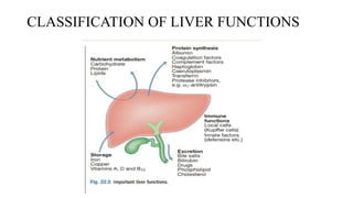CLINICAL SIGNIFICANCE OF LIVER FUNCTION TEST.pptx | Free Download