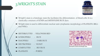 Haematology and Blood Banking | PPTX