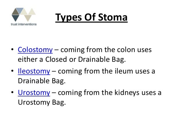 Clinical skills workshop stoma care v1
