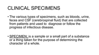 CLINICAL SPECIMENS.pptx