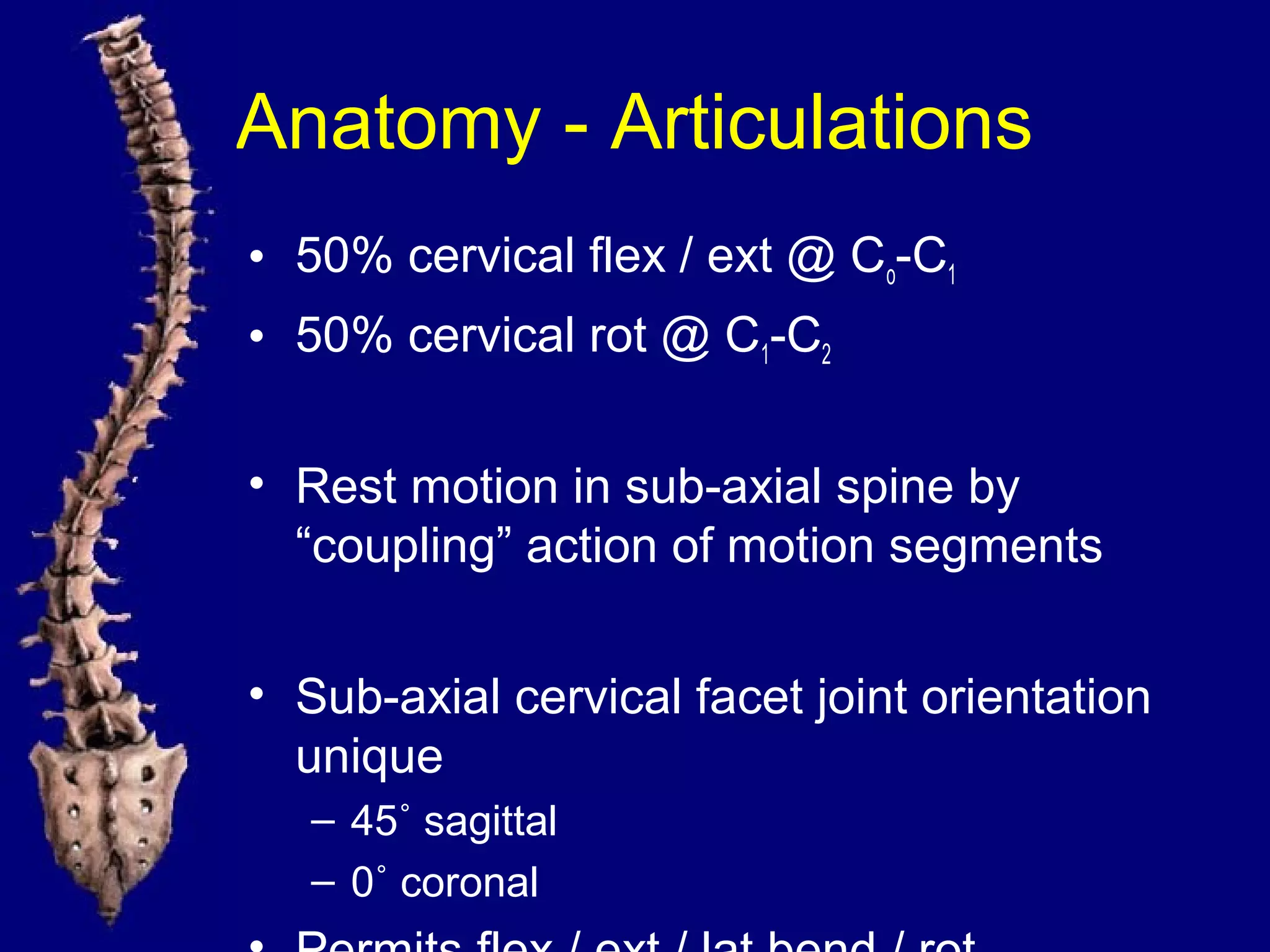 Clinical spinal anatomy for students v2 | PPT