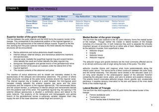 Clinical sports anatomy sample chapter | PPT