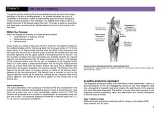 Clinical sports anatomy sample chapter | PPT