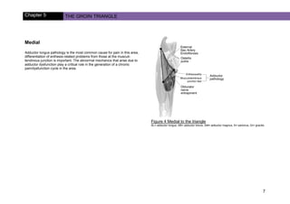 Clinical sports anatomy sample chapter | PPT