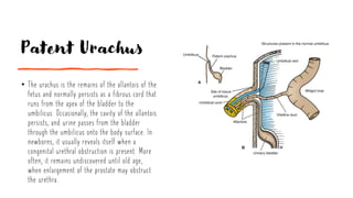 Clinicals related to abdomen.pdf