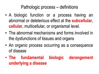 Clinical Summary and reasoning Format in Practice.pptx