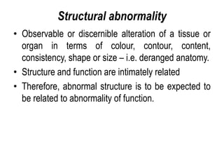 Clinical Summary and reasoning Format in Practice.pptx