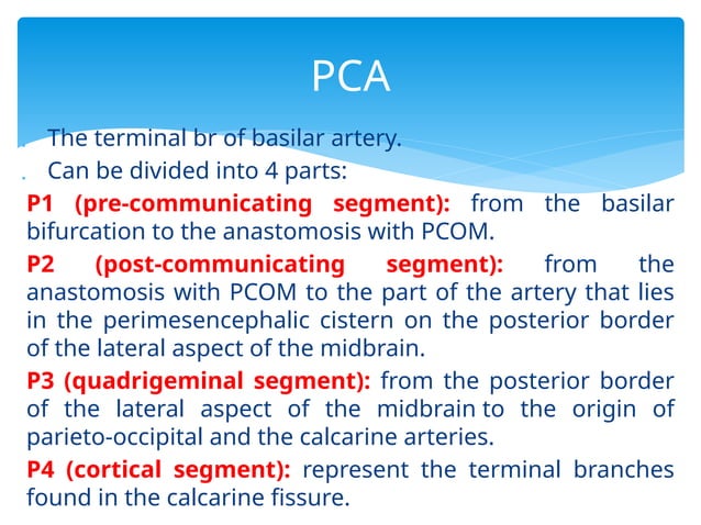 Clinical Syndromes of Cerebral Ischemic Stroke pp.pptx