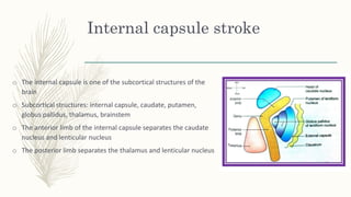 Clinical syndromes of vascular disease of the nervous | PPTX | Brain ...