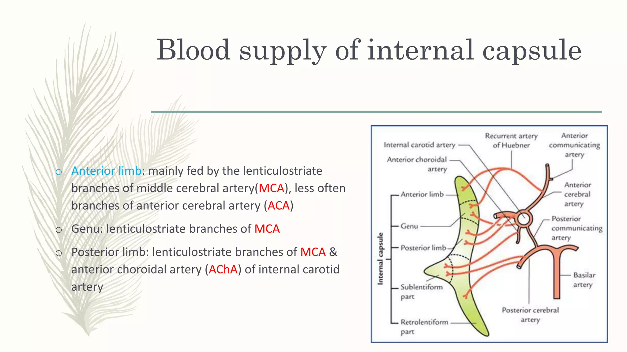Clinical syndromes of vascular disease of the nervous | PPTX