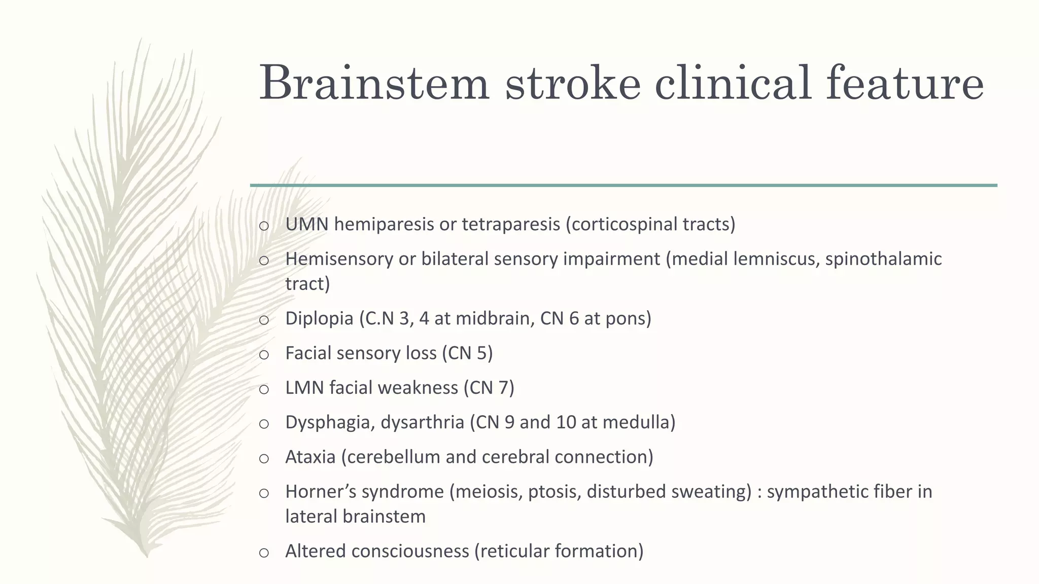Clinical syndromes of vascular disease of the nervous | PPTX