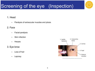 Clinical technique eye screening | PDF