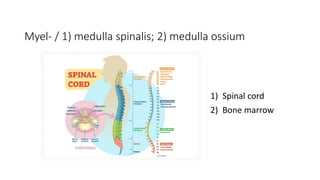 Clinical terminology Lesson 5(1).pptx