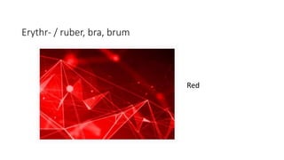 Clinical terminology Lesson 5(1).pptx