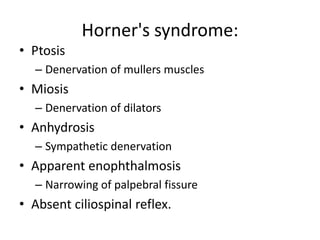 Clinical testing pupils | PPTX