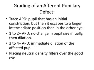 Clinical testing pupils | PPTX
