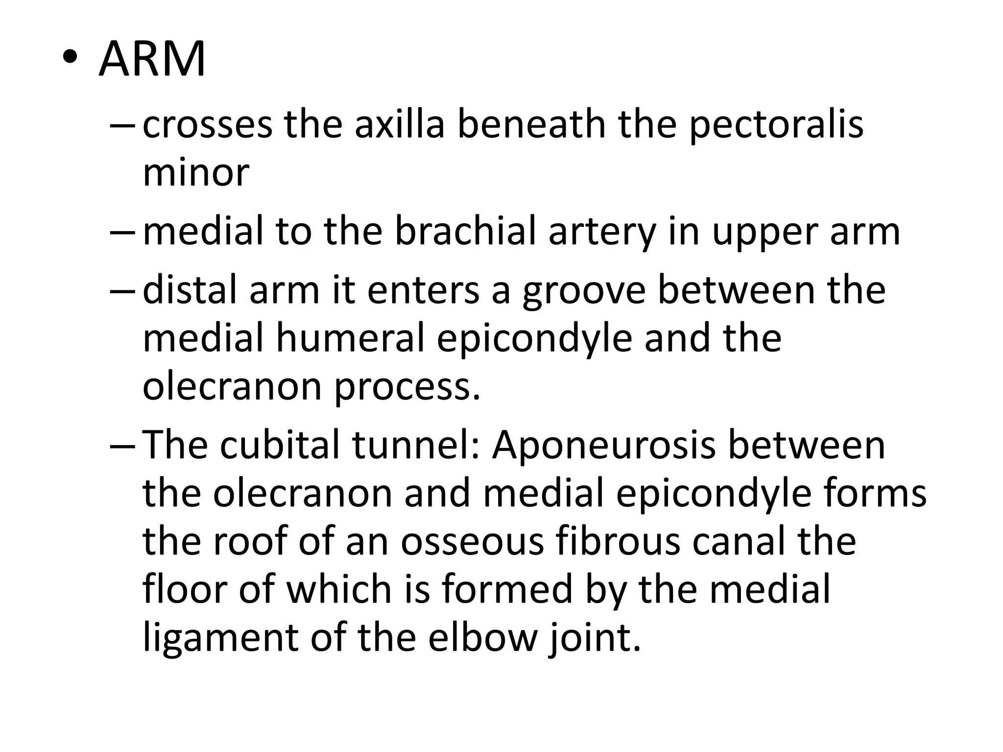 Clinical Testing Ulnar Nerve Ppt