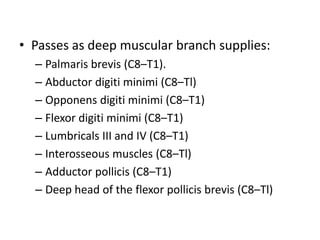 Clinical testing ulnar nerve | PPTX