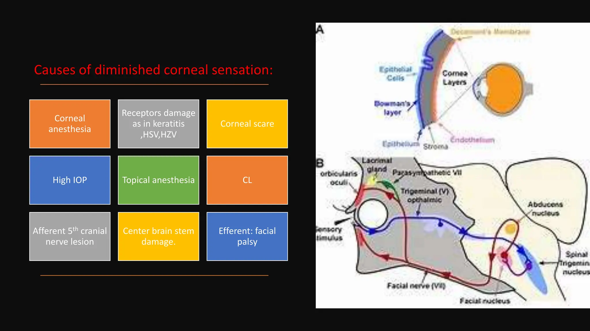 Ophthalmology Clinical Tests for OSCE exam | PPTX