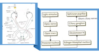 Ophthalmology Clinical Tests for OSCE exam | PPTX