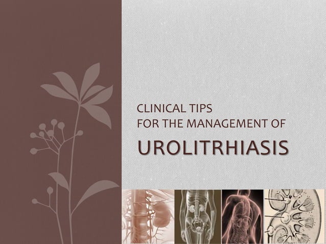 Clinical tips for the management of urolithiasis | PPT