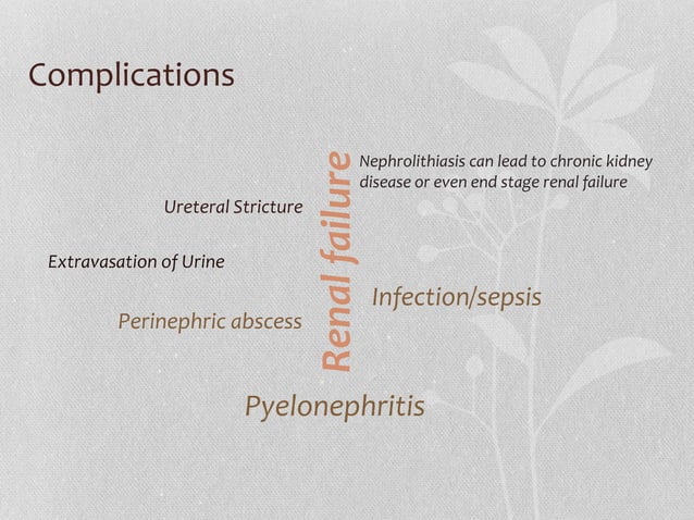 Clinical tips for the management of urolithiasis | PPT